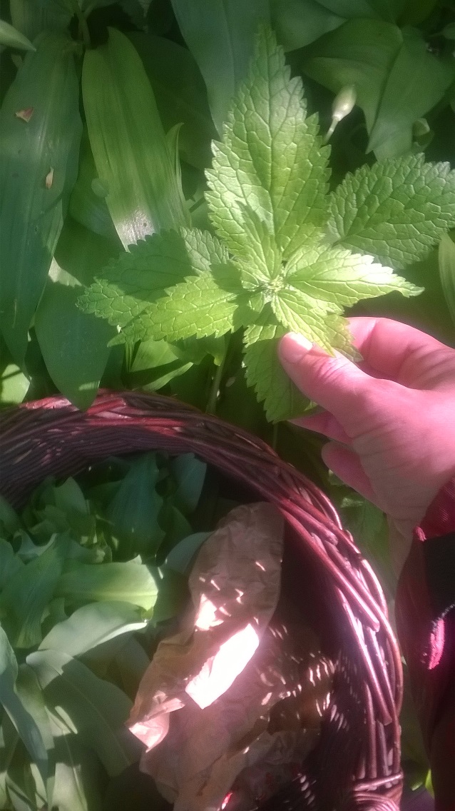 Alors ça Pousse ? baume bio en exclusivité sur Doux Good