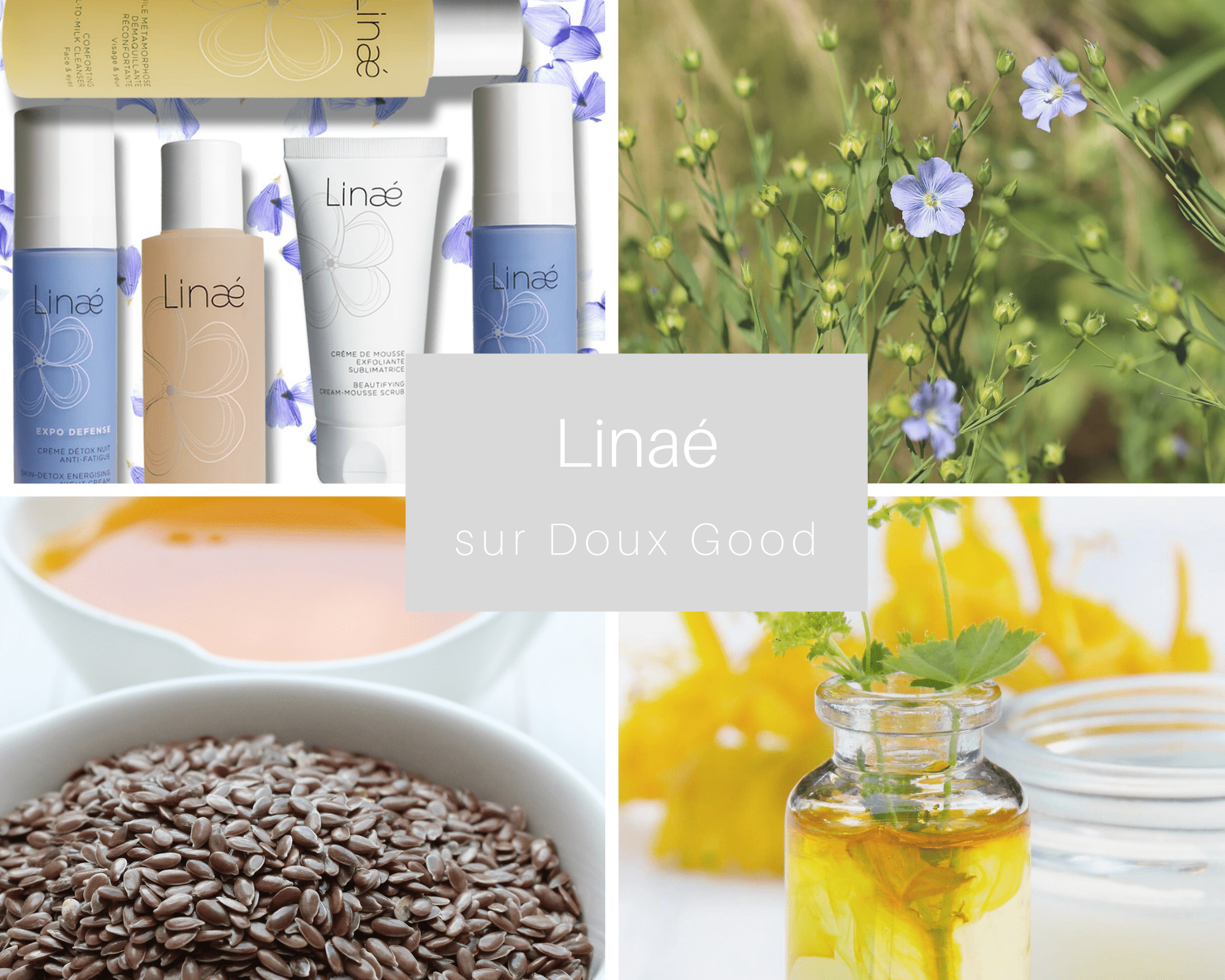 Le lin français, une matière naturelle végétale même en cosmétiques
